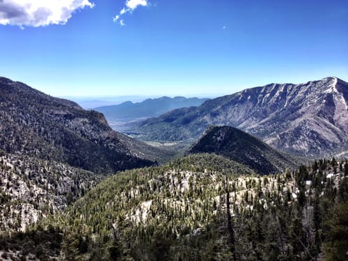 2023 Best 10 Long Trails in Mount Charleston Wilderness | AllTrails
