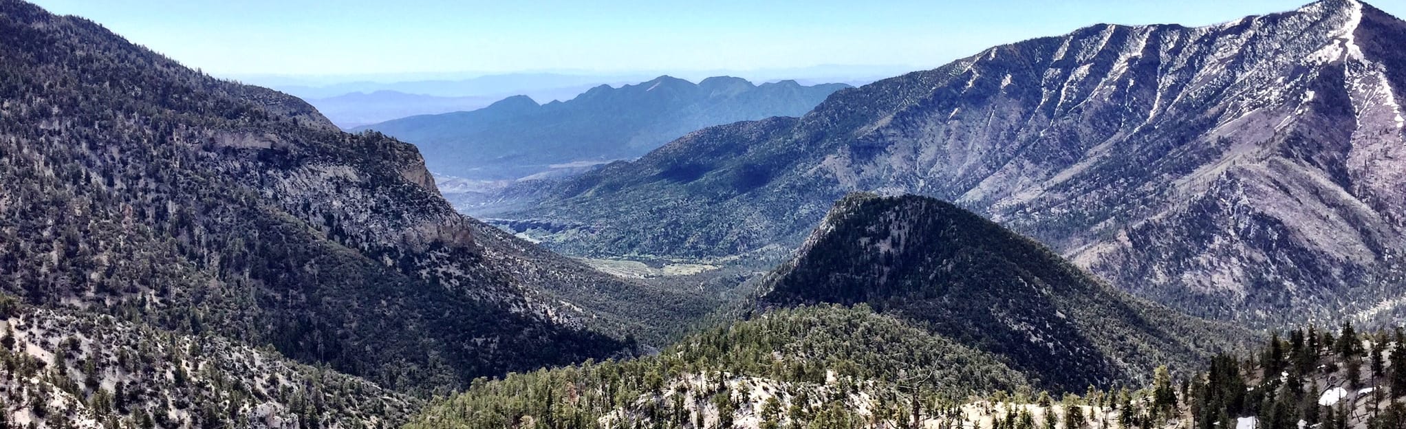 Cockscomb Peak, Nevada - 177 Reviews, Map | AllTrails