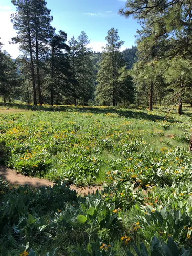 10 Best Trails and Hikes in Wenatchee | AllTrails