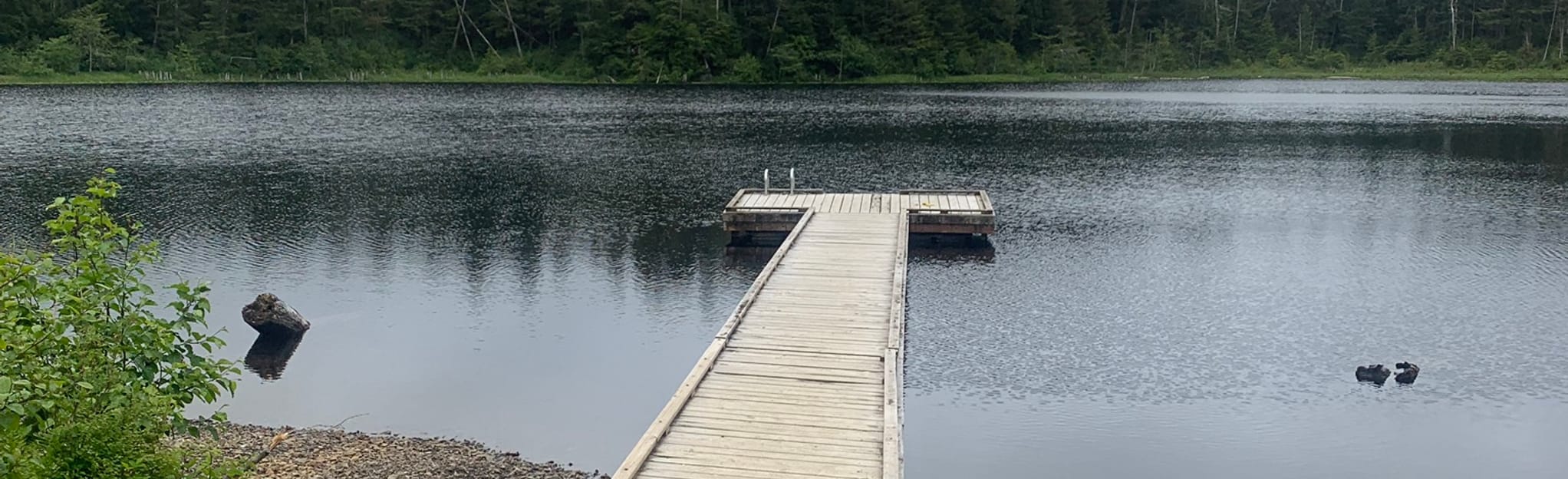 Thimbleberry Lake and Heart Lake Trail, Alaska - 106 Reviews, Map ...