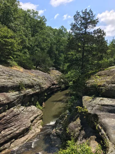 Best Hikes and Trails in Bell Smith Springs Natural Landmark | AllTrails