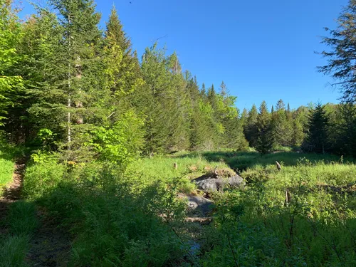10 Best Trails and Hikes in Tupper Lake | AllTrails