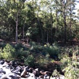 Maculata and Bardon Track, Queensland, Australia - 140 Reviews, Map ...