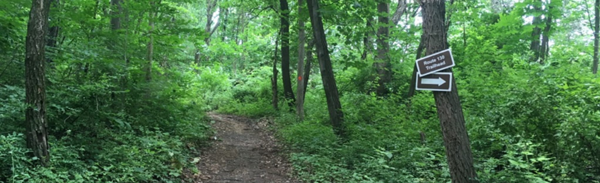 Crystal Lake Park Loop, New Jersey - 105 Reviews, Map | AllTrails