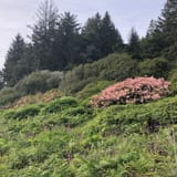 Lone Ranch South Trail, Oregon - 92 Reviews, Map | AllTrails