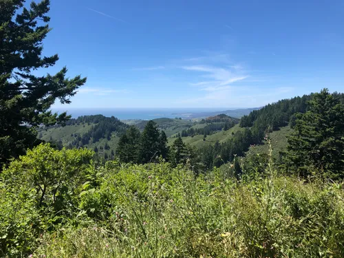 10 Best Trails and Hikes in Woodside | AllTrails