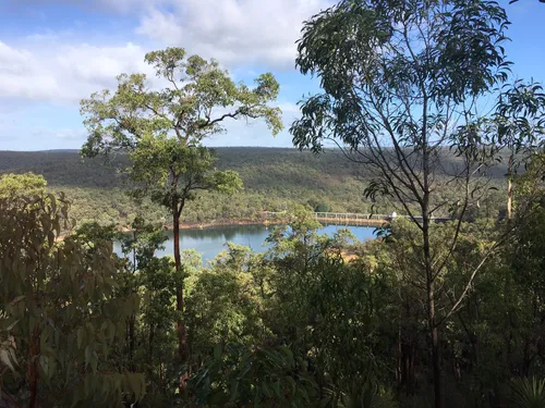 10 Best Trail Running Trails in Perth | AllTrails