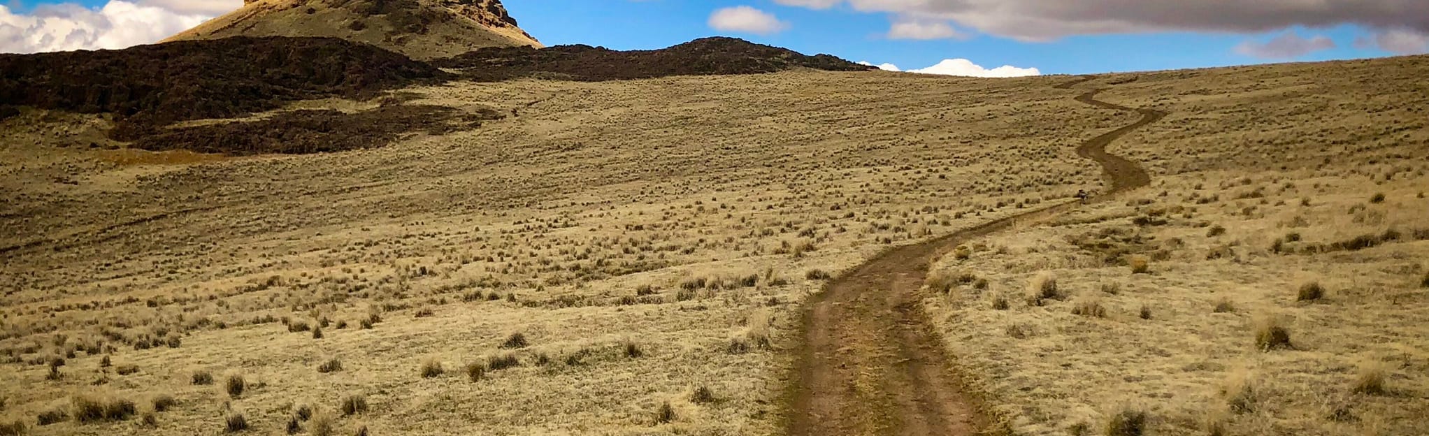 Three Fingers Rock Trail: 13 Reviews, Map - Oregon | AllTrails