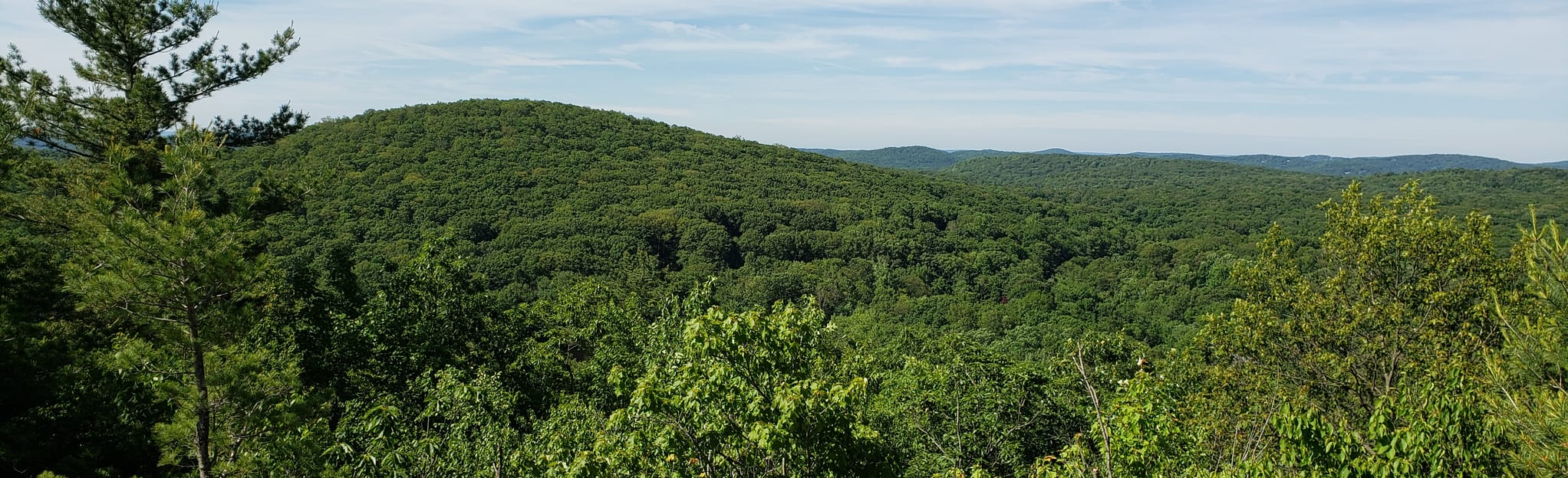 Norvin Green State Forest Loop, New Jersey - 112 Reviews, Map | AllTrails