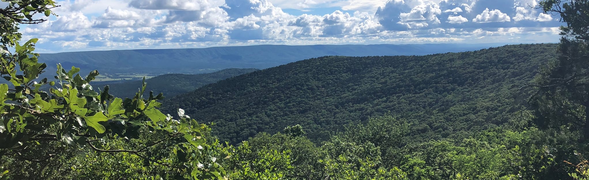 AllTrails | Ouachita National Recreation Trail: Talimena to Big Cedar ...