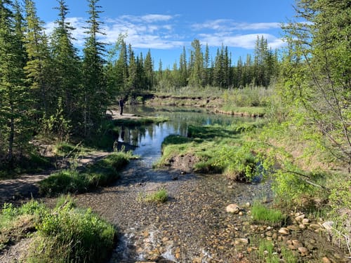 2023 Best 10 Trails and Hikes in Calgary | AllTrails