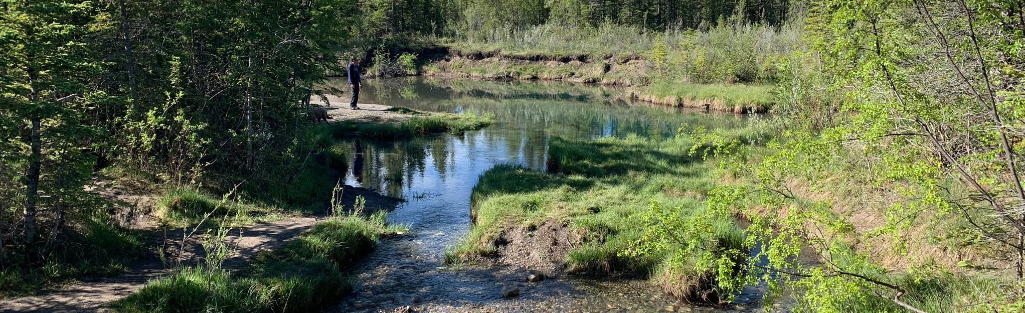 Griffith Woods Park Outer Loop: 757 Reviews, Map - Alberta, Canada ...