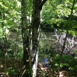 Paine Mountain, Vermont - 140 Reviews, Map | AllTrails