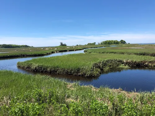 Best Hikes and Trails in Barn Island Wildlife Management Area | AllTrails