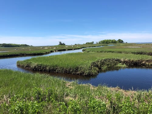 Best Hikes and Trails in Barn Island Wildlife Management Area | AllTrails