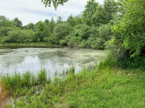 Best Hikes and Trails in Silver Creek Metro Park | AllTrails