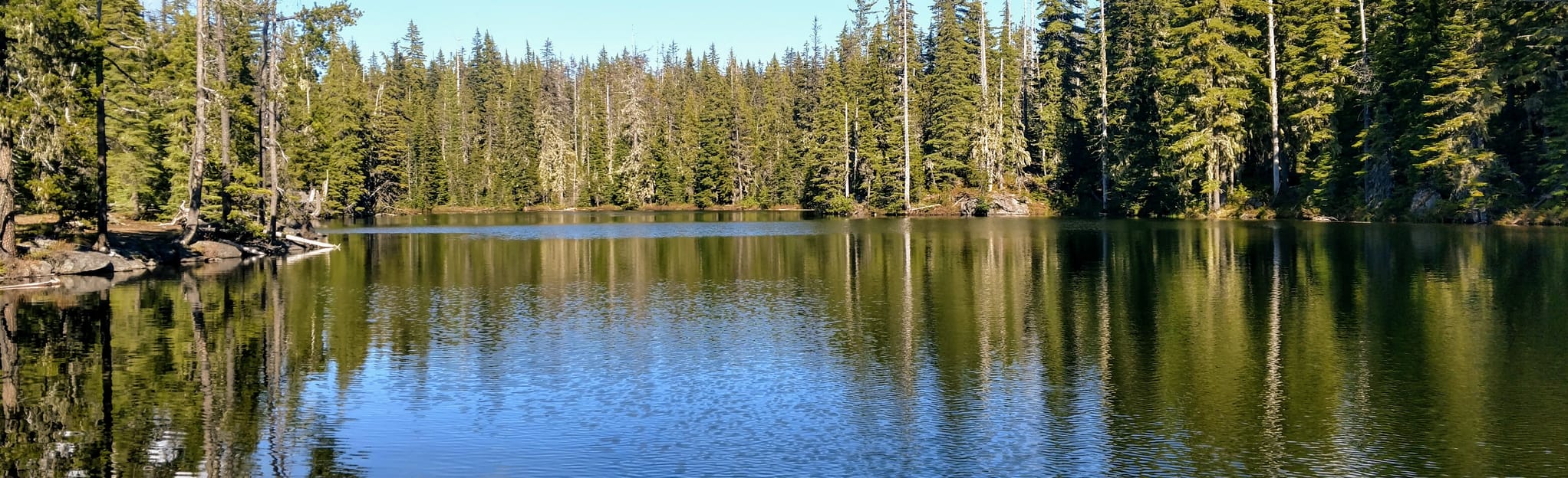 Erma Bell Williams Lake Loop, Oregon - 41 Reviews, Map | AllTrails