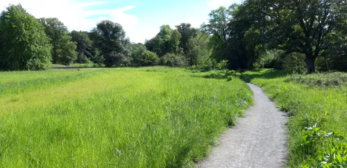 Best Hikes and Trails in Dams to Darnley Country Park | AllTrails