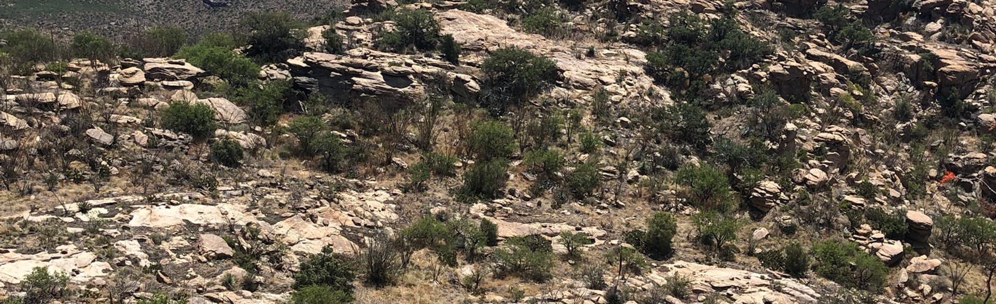 Hope Camp to Grass Shack Camp Trail , Arizona - 78 Reviews, Map | AllTrails