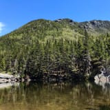 Carter Dome Trail, New Hampshire - 107 Reviews, Map | AllTrails