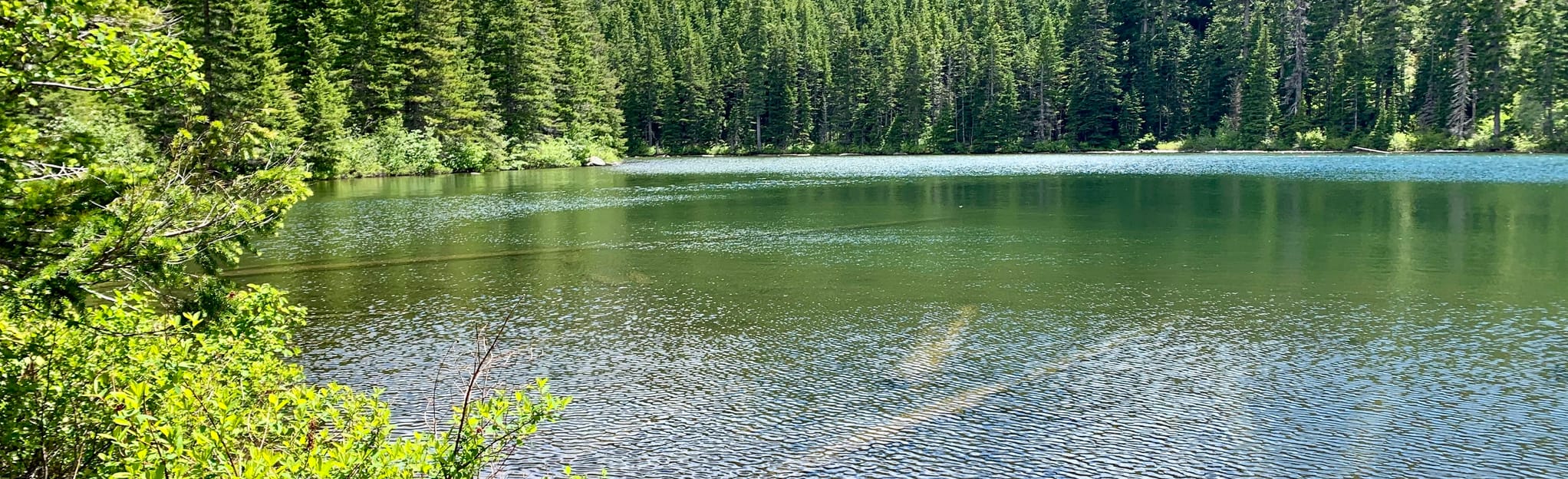 Mt Defiance via Warren Lake Trailhead, Oregon - 37 Reviews, Map | AllTrails