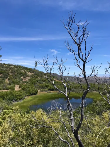 Best Hikes and Trails in Mendocino National Forest | AllTrails