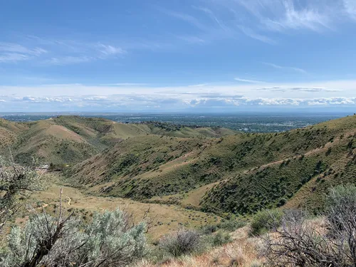 10 Best Wild Flowers Trails in Boise | AllTrails