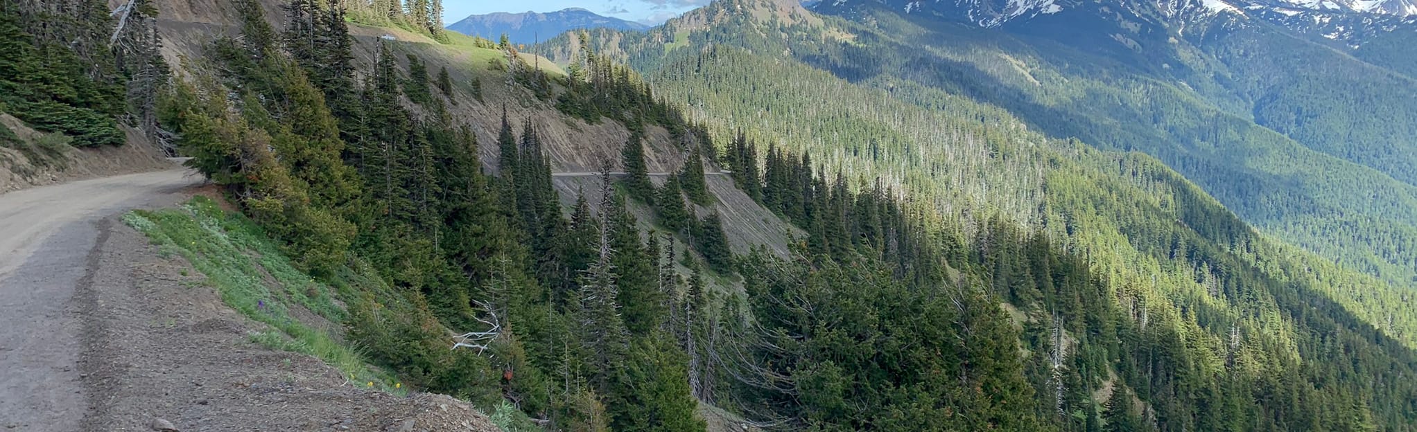 Obstruction Point Road: 170 foto's - Washington | AllTrails