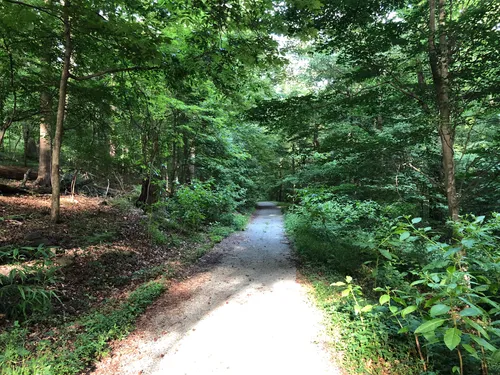 2023 Best Historic Site Trails in Chapel Hill | AllTrails 2023 Best Historic Site Trails in Chapel Hill | AllTrails