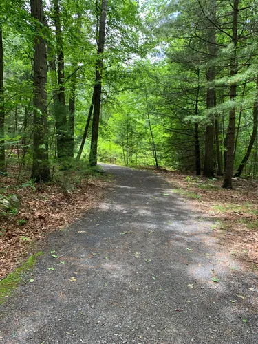 Best Hikes and Trails in Sessions Woods Wildlife Management Area ...
