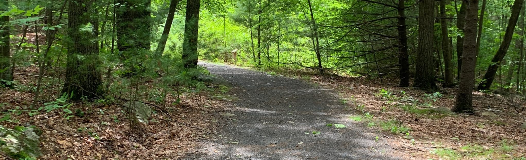 Forest Meadow Trail, Connecticut - 136 Reviews, Map | AllTrails