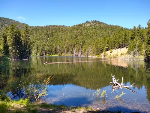 Best Hikes and Trails in Squilchuck State Park | AllTrails