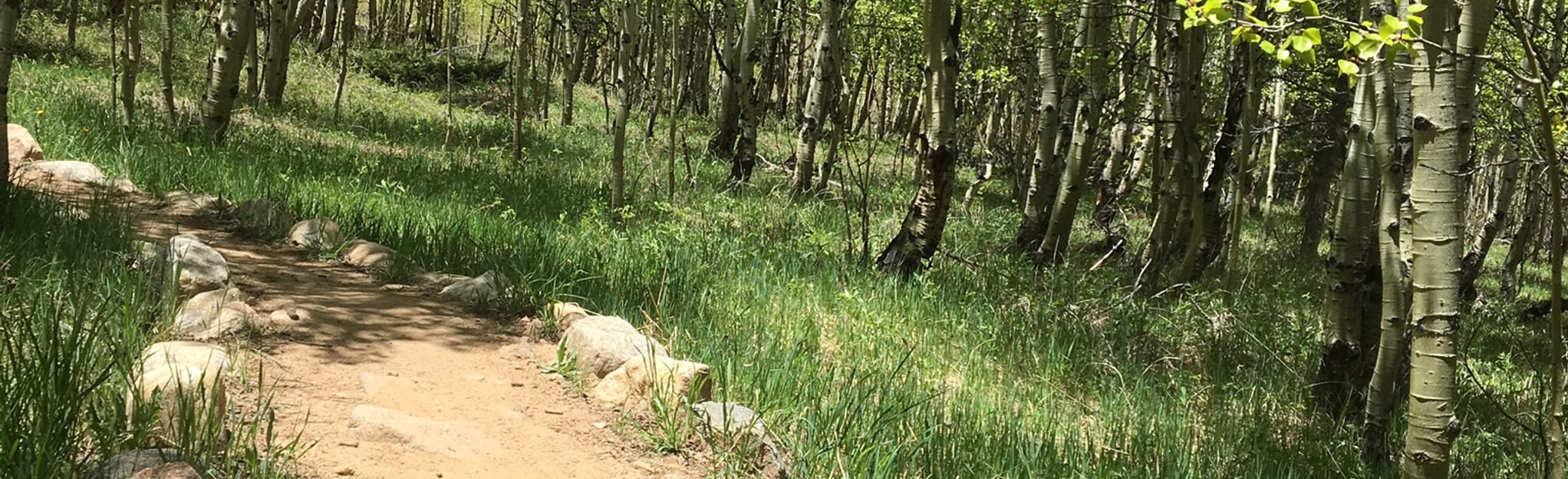 West Magnolia Observatory Trail, Colorado - 148 Reviews, Map | AllTrails