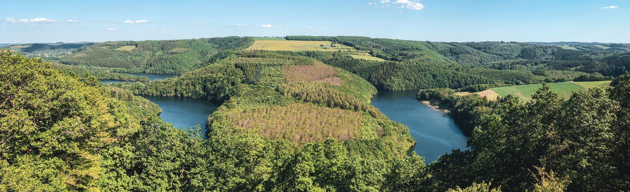 Lac de la Haute-Sûre Loop, Redange, Luxembourg - 53 Reviews, Map ...