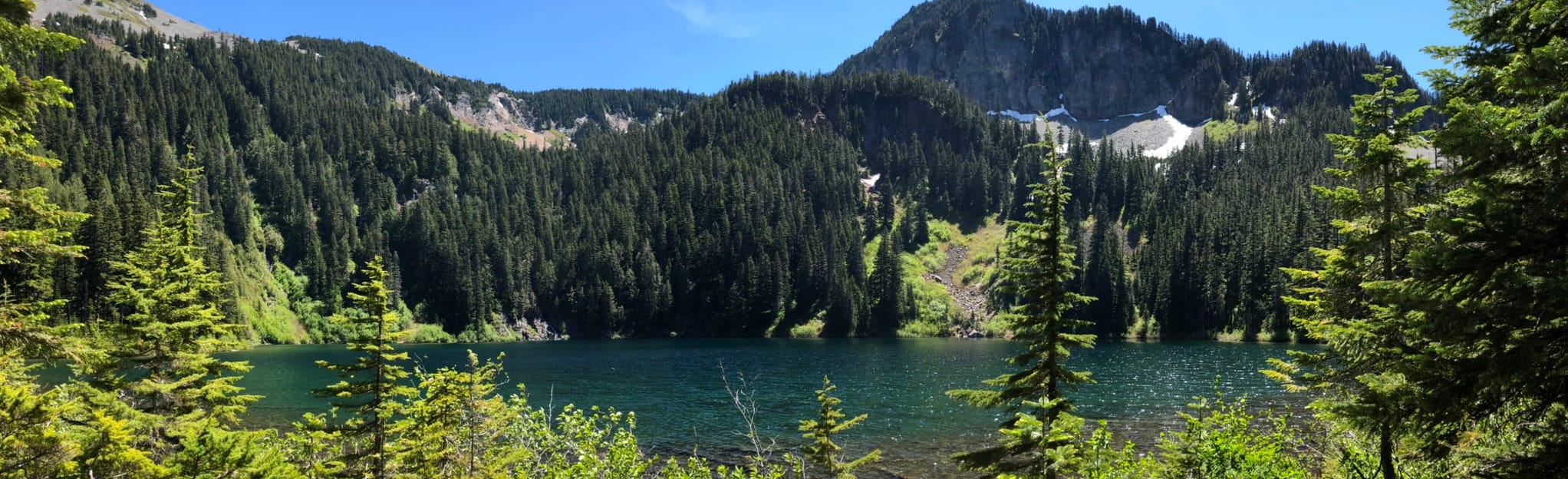 Annette Lake Trail: 4415 Reviews, Map - Washington | AllTrails