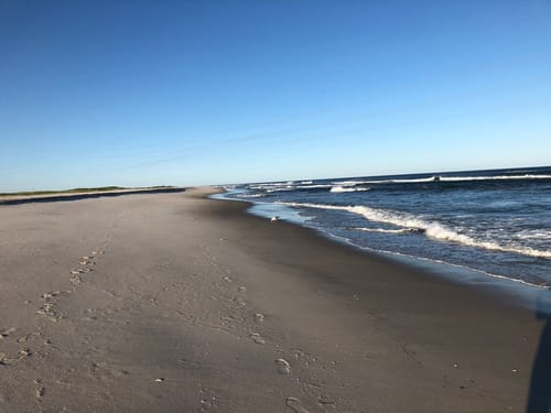 Best Hikes and Trails in Fire Island National Seashore | AllTrails