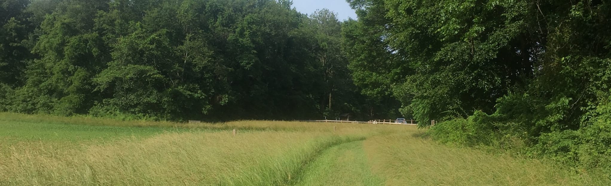 Crystal Lake Park Tree Line Loop: 26 Reviews, Map - New Jersey | AllTrails