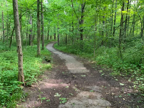 Best Hikes and Trails in Harris Nature Center | AllTrails