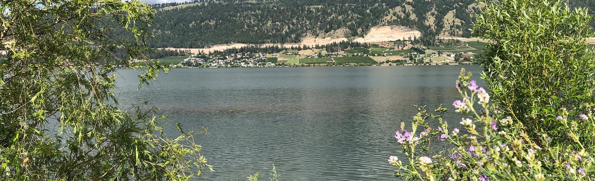 Okanagan Rail Trail: Oyama - Lake Country: 68 Reviews, Map - British ...