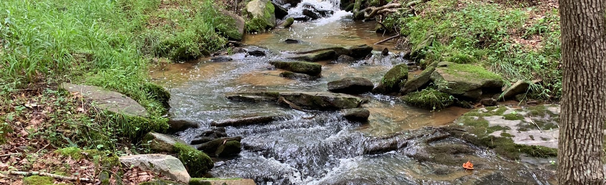 Mason Creek Falls, Georgia - 38 Reviews, Map | AllTrails
