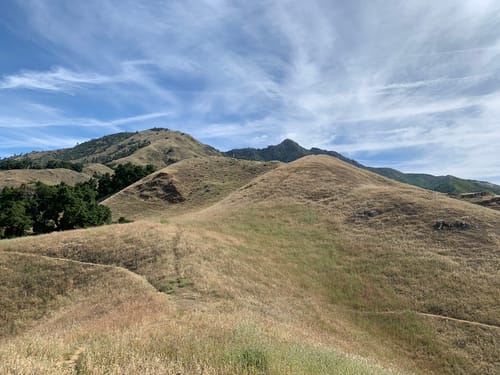 2023 Best 10 Backpacking Trails in Ventana Wilderness | AllTrails