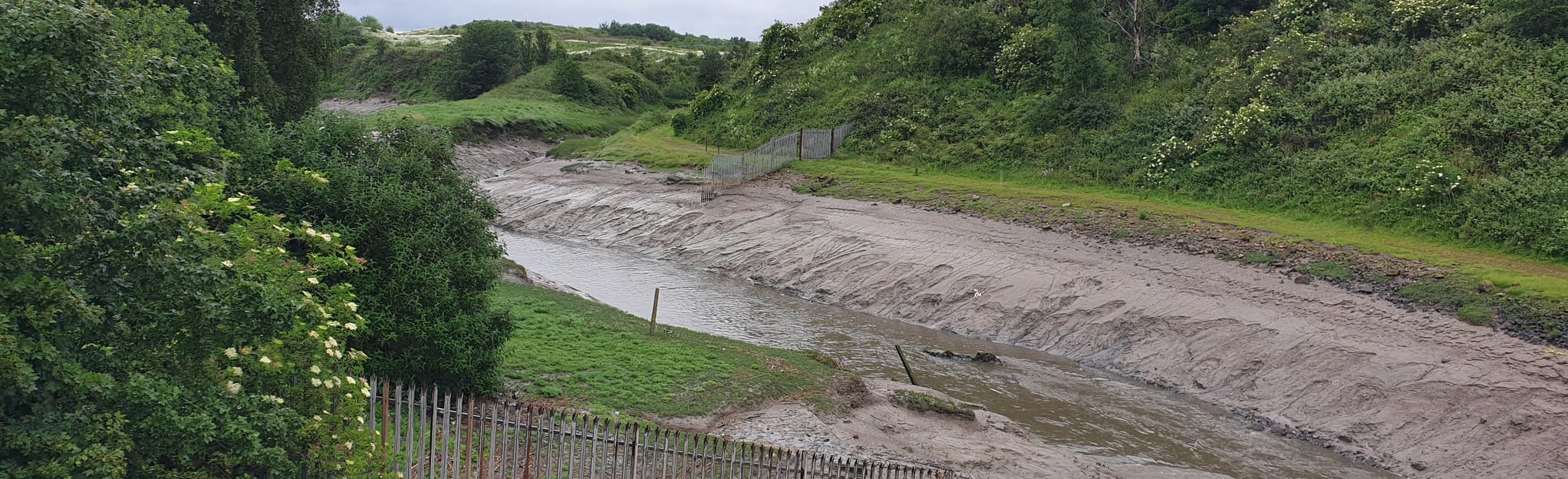 Hale - Spike Island, Merseyside, England - 75 Reviews, Map | AllTrails