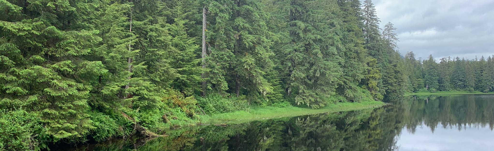 Ward Lake Trail, Alaska - 123 Reviews, Map | AllTrails