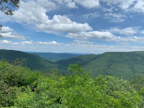 2023 Best 10 Long Trails in Wardensville | AllTrails