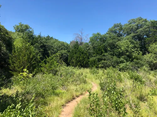 10 Best Bird Watching Trails in Dallas | AllTrails