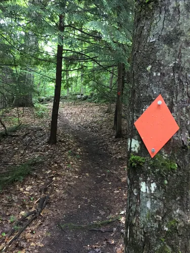 10 Best Trails and Hikes in Meredith | AllTrails