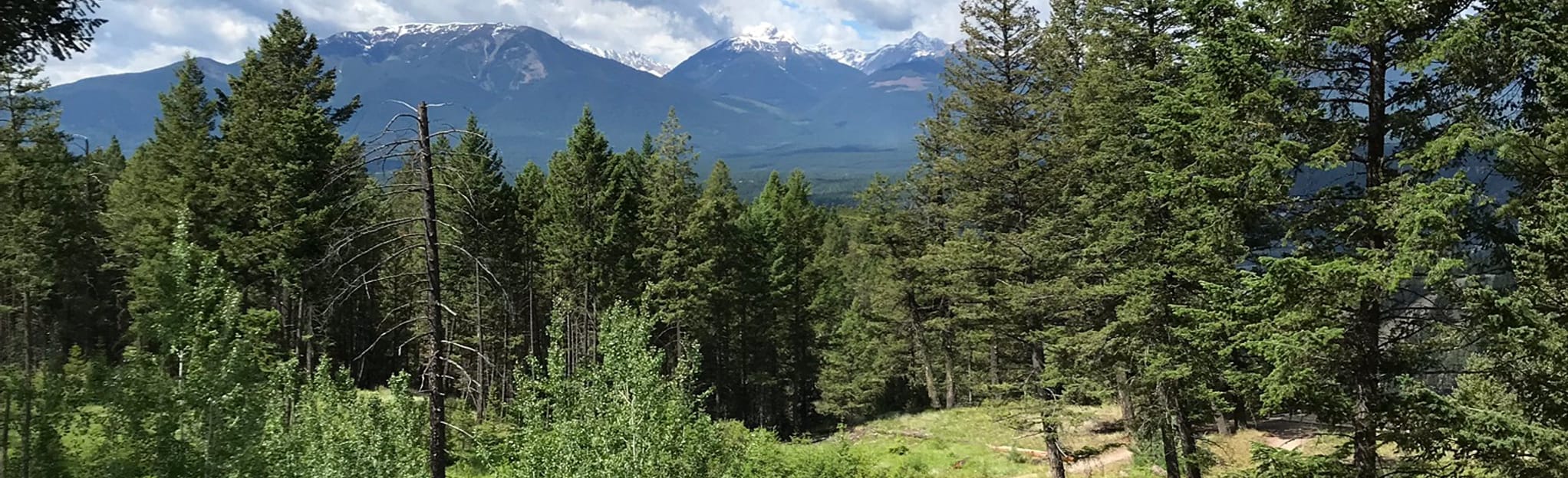 Juniper Loop: 176 Reviews, Map - British Columbia, Canada | AllTrails