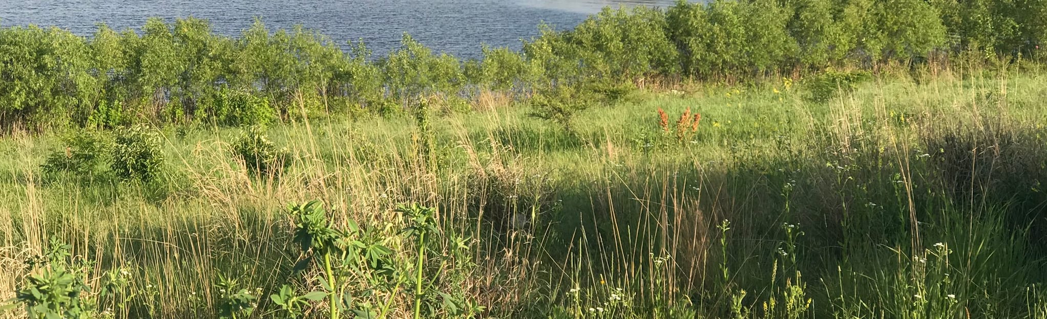 Prairie Queen Trail Loop , Nebraska - 362 Reviews, Map | AllTrails