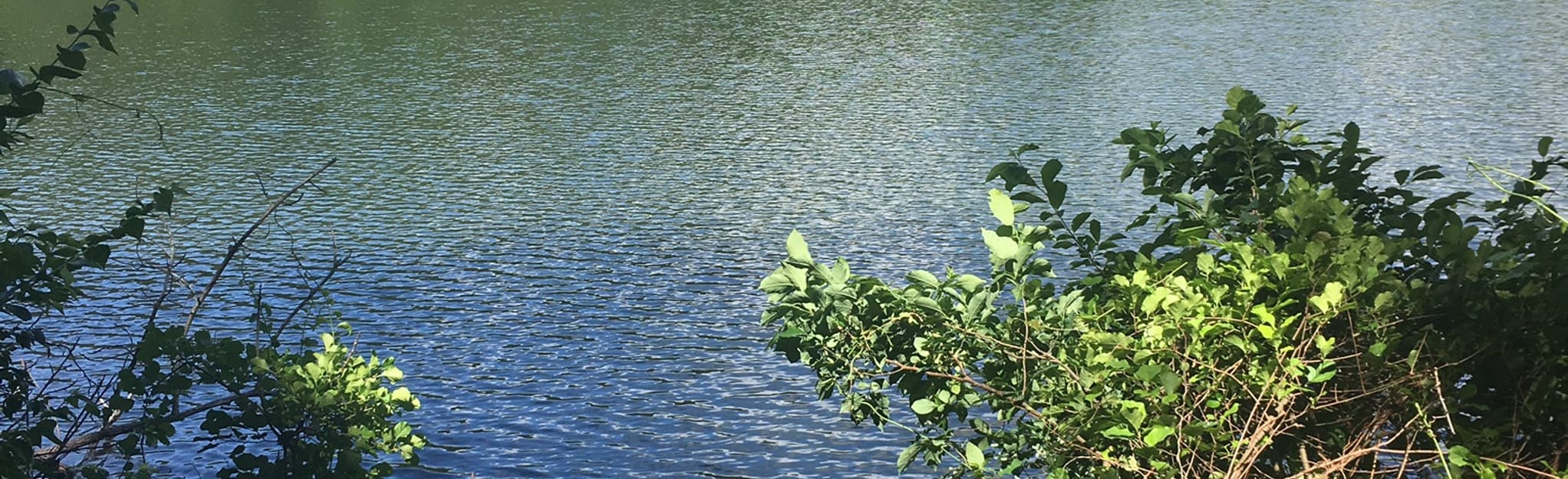 Ten Mile Creek Trail Loop: 82 Reviews, Map - Maryland | AllTrails