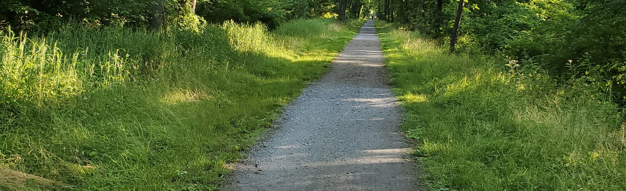 Landsdown Trail, New Jersey - 291 Reviews, Map | AllTrails